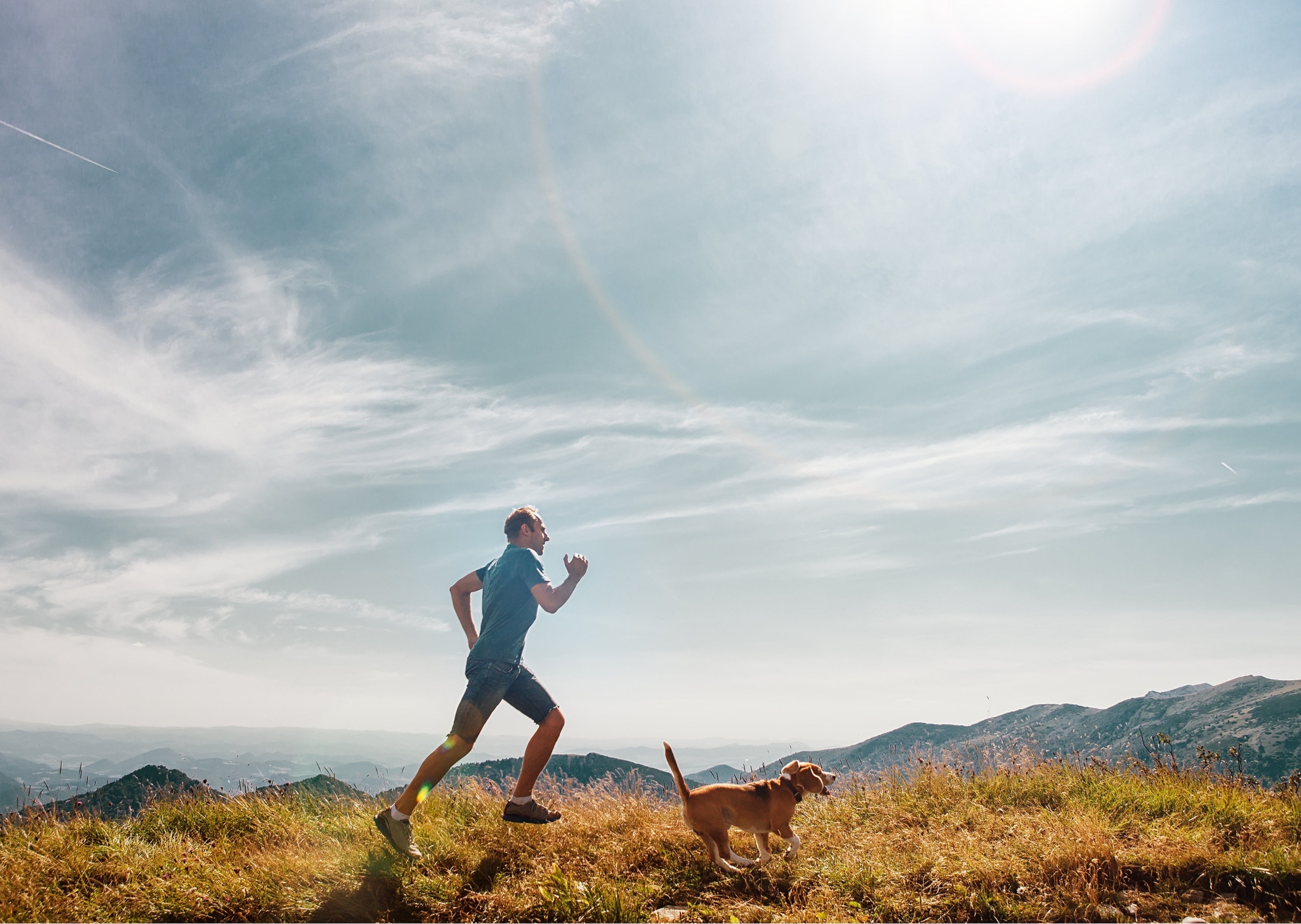5 Tips For Burning More Calories On Your Dog Walk – DOOGUSA