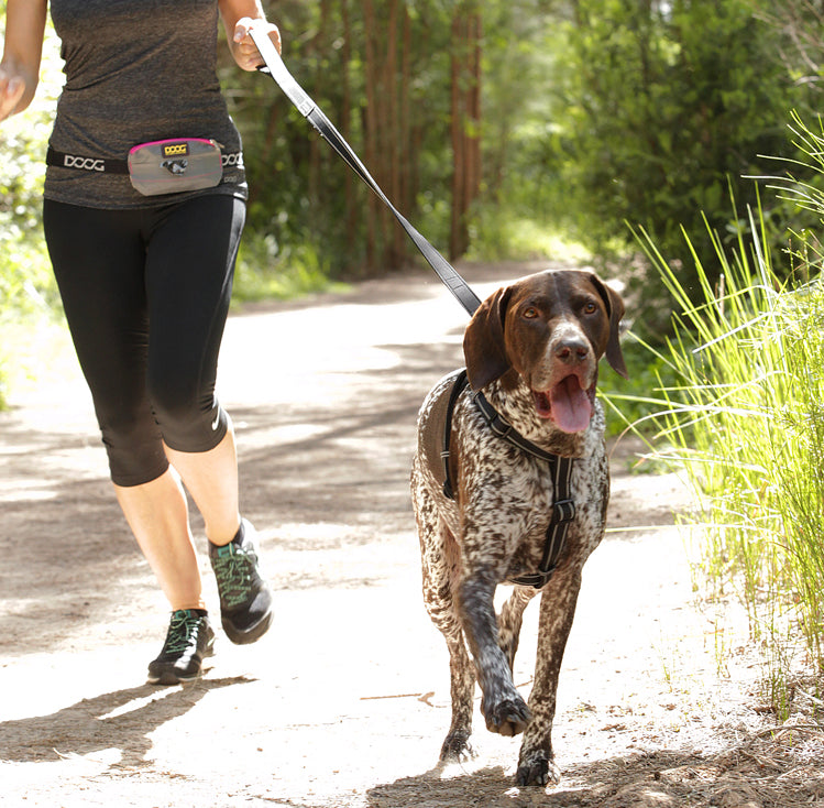 Get Into Shape With Your Dog – DOOGUSA