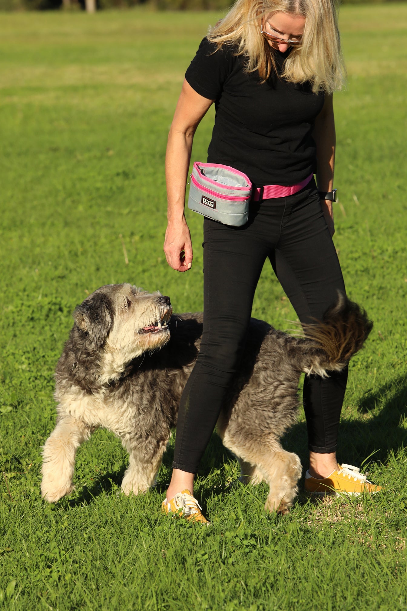 Dog Training Gear – DOOGUSA