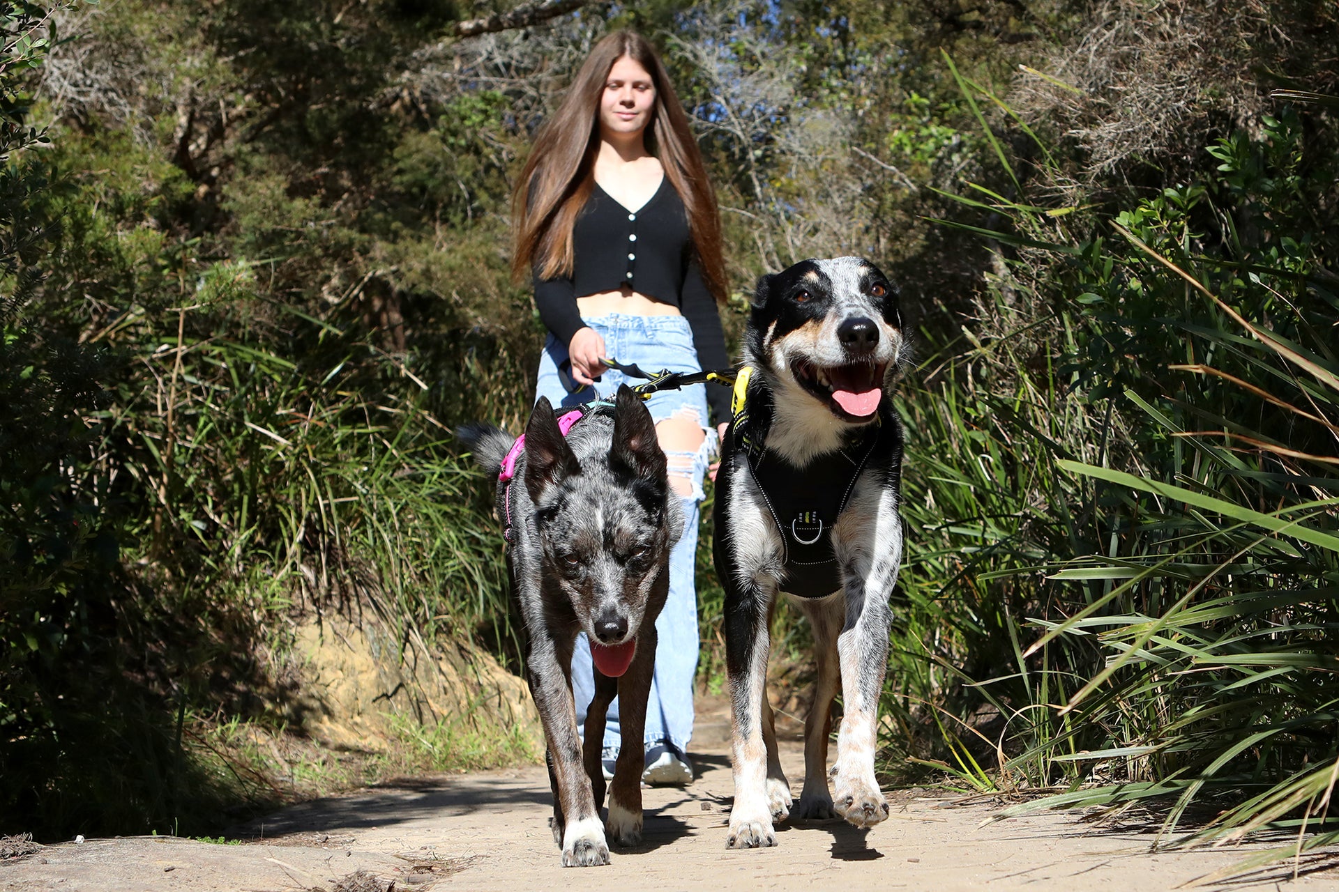 DOOG - Official US Site (Dog Owners Outdoor Gear) – DOOGUSA