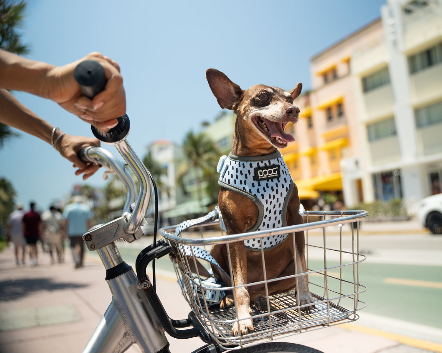 DOOG - Official US Site (Dog Owners Outdoor Gear) – DOOGUSA