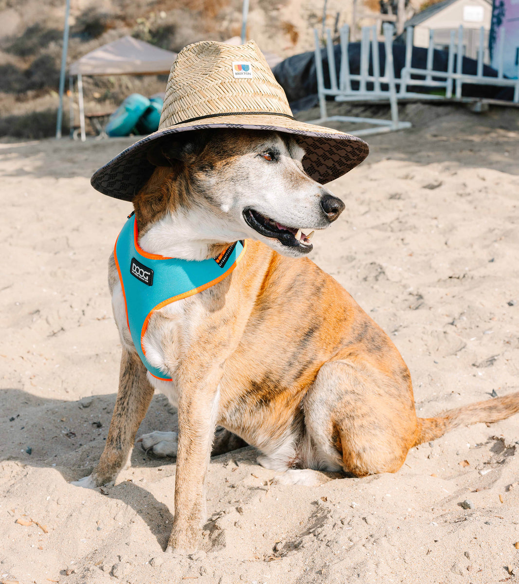 DOOG - Official US Site (Dog Owners Outdoor Gear) – DOOGUSA